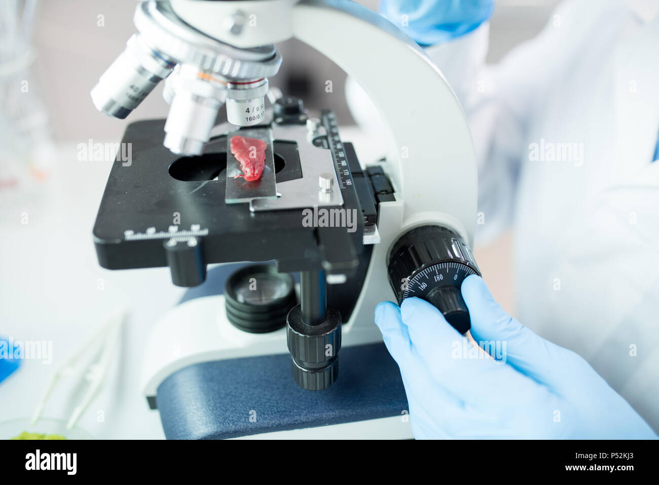 Microscope sample hi-res stock photography and images - Alamy