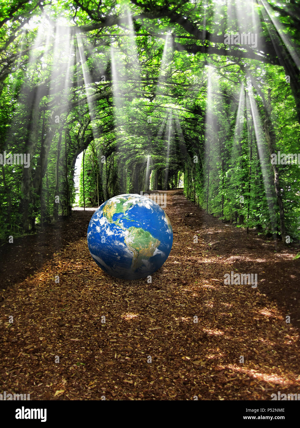 Conceptual image of globe on landscape. Elements of this image ...