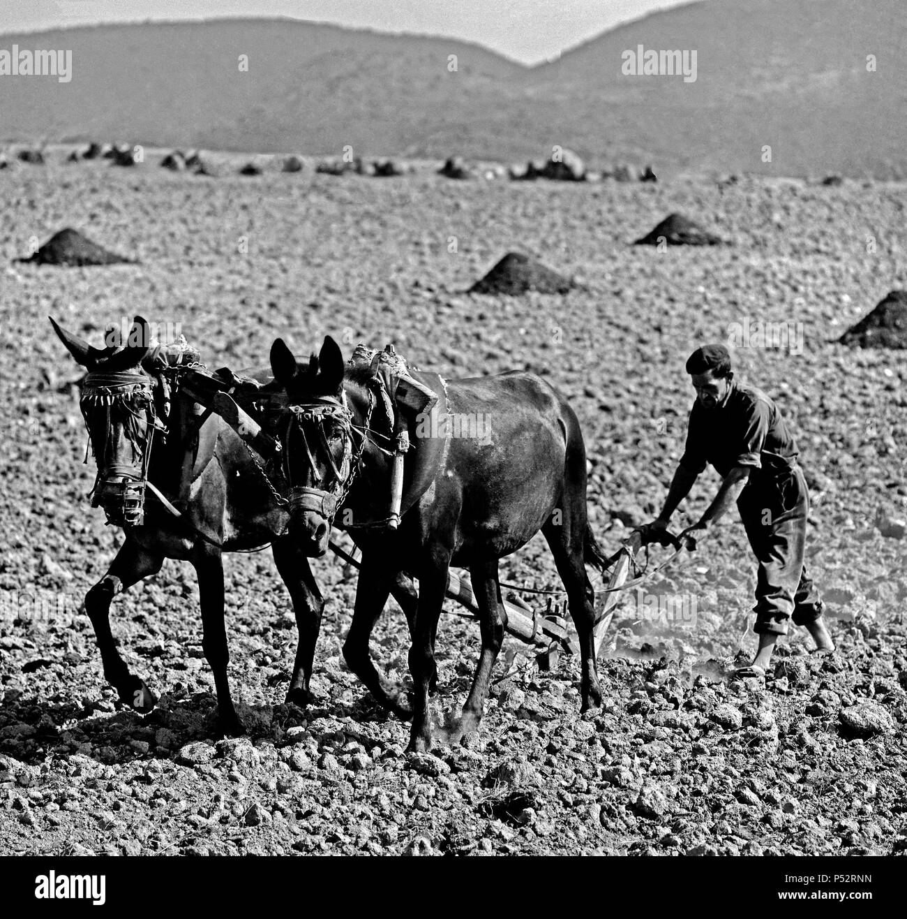 Arando campesino hi-res stock photography and images - Alamy