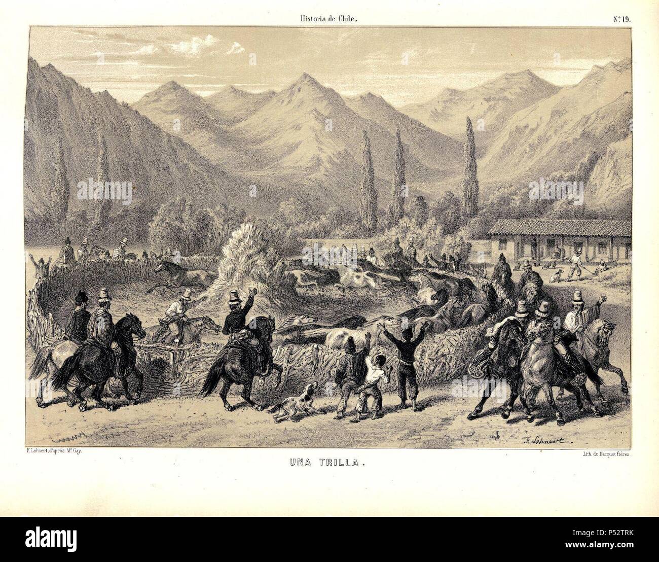 UNA TRILLA EN ATLAS DE LA HISTORIA FISICA Y POLITICA DE CHILE, 1854 ...