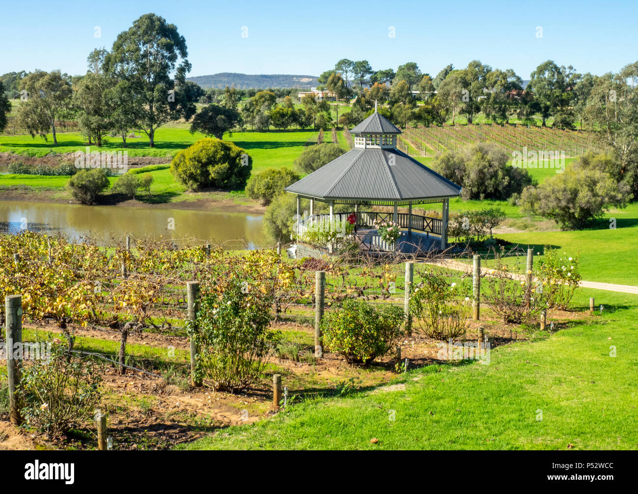 Grapevine pergola hi-res stock photography and images - Alamy