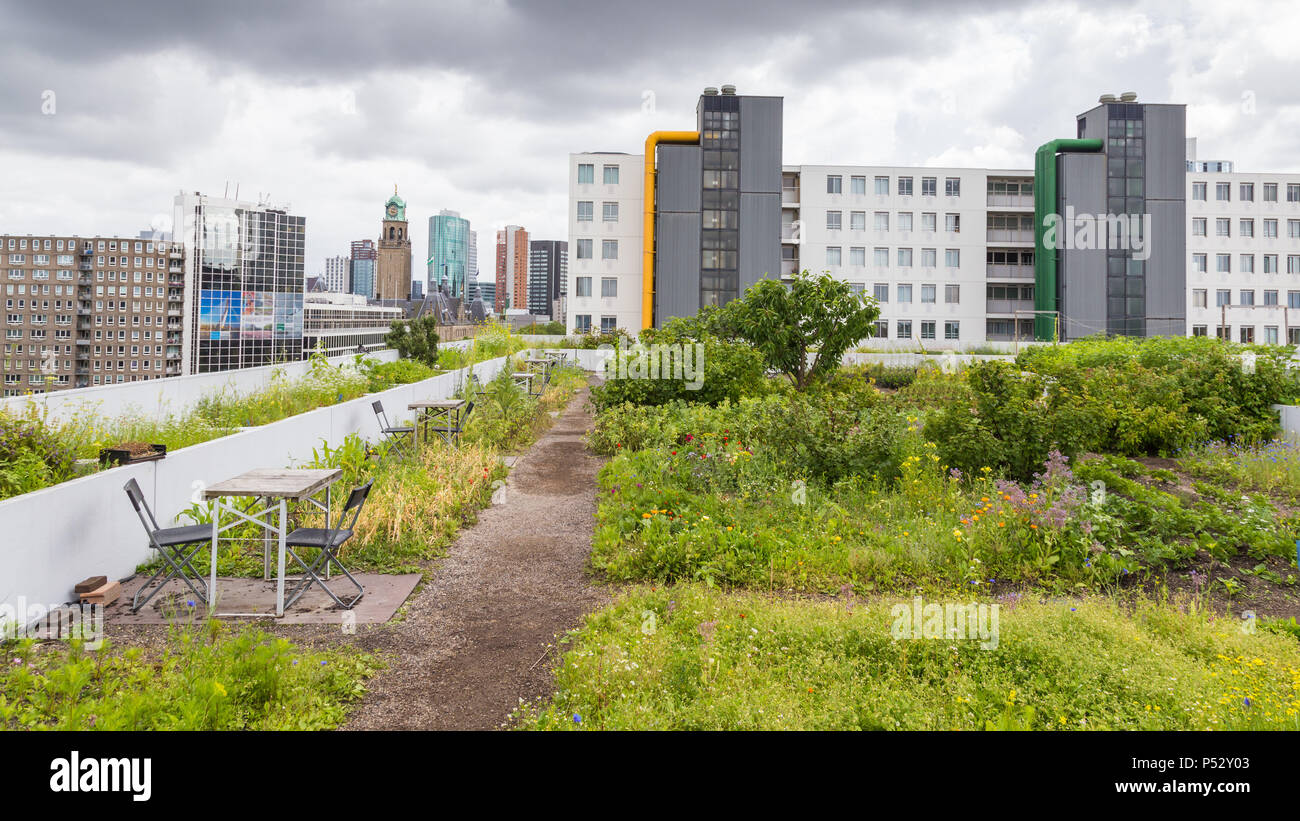 Rooftop garden rotterdam hi-res stock photography and images - Alamy