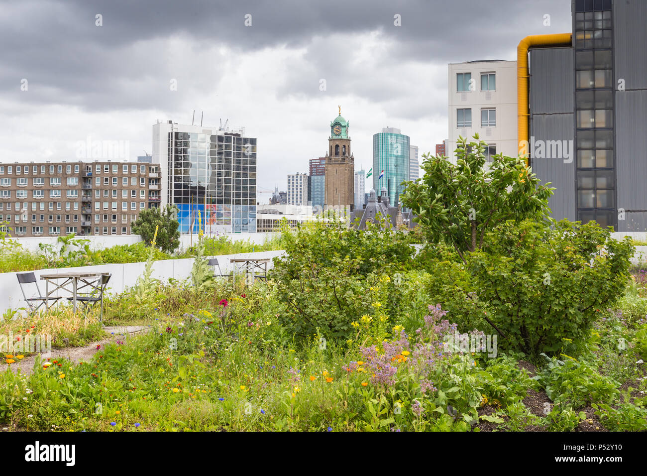 Rooftop garden urban farming hi-res stock photography and images - Alamy