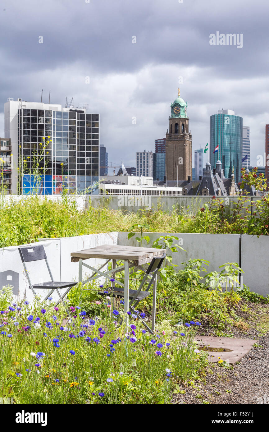 Rooftop garden rotterdam hi-res stock photography and images - Alamy