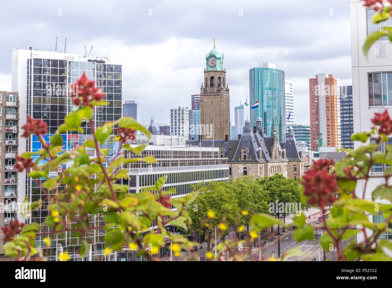 Rotterdam green roof hi-res stock photography and images - Alamy