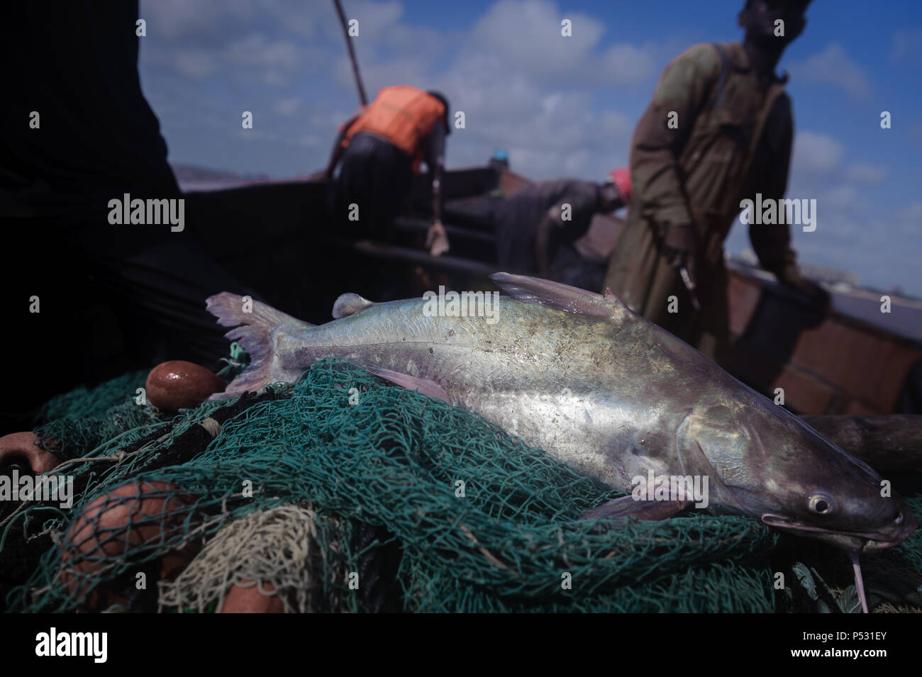 Local fisherman return to the Mozambique port of Beira after net ...