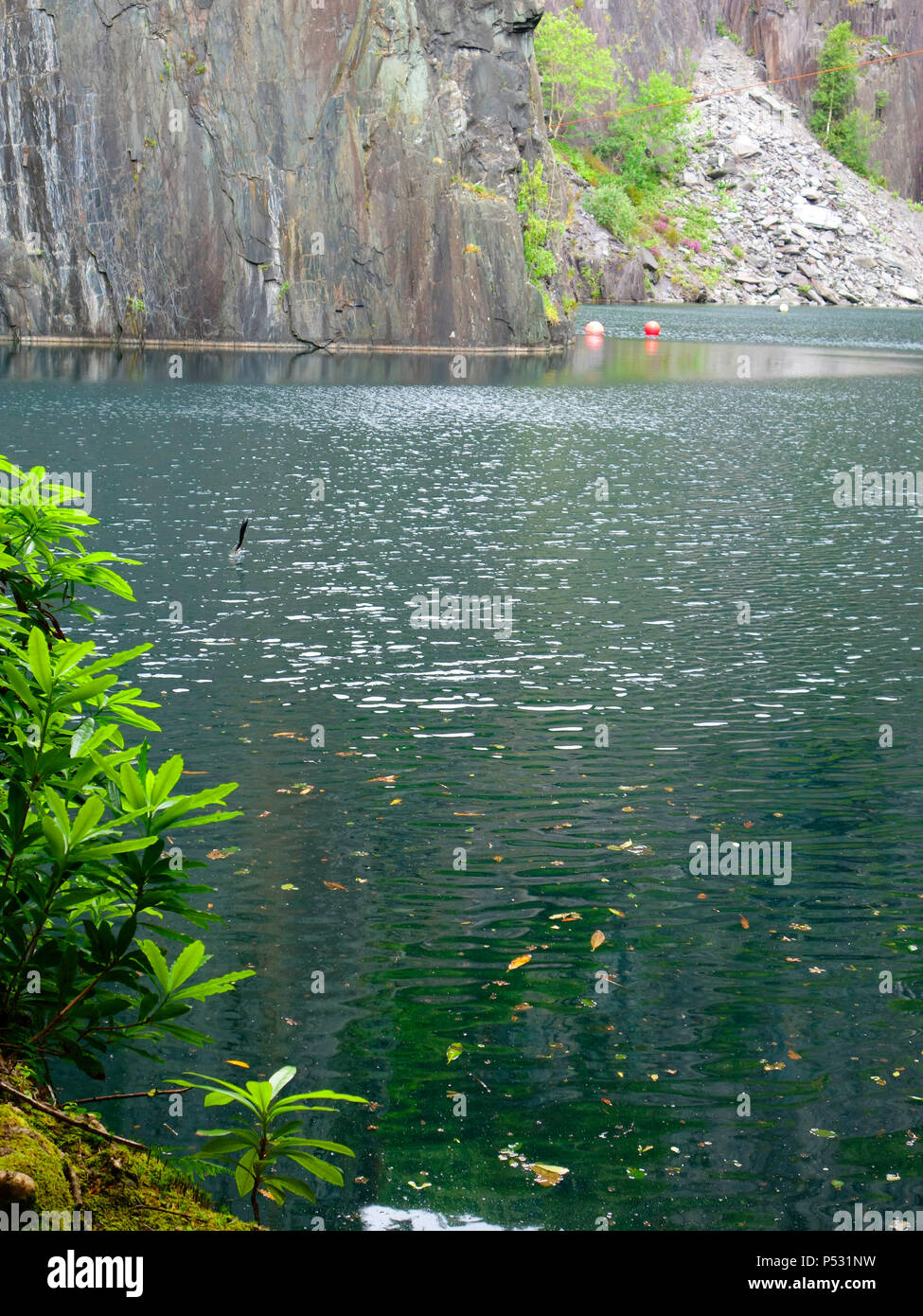 Greeny blue water hi-res stock photography and images - Alamy