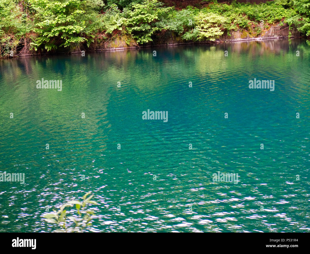 Greeny blue hi-res stock photography and images - Alamy