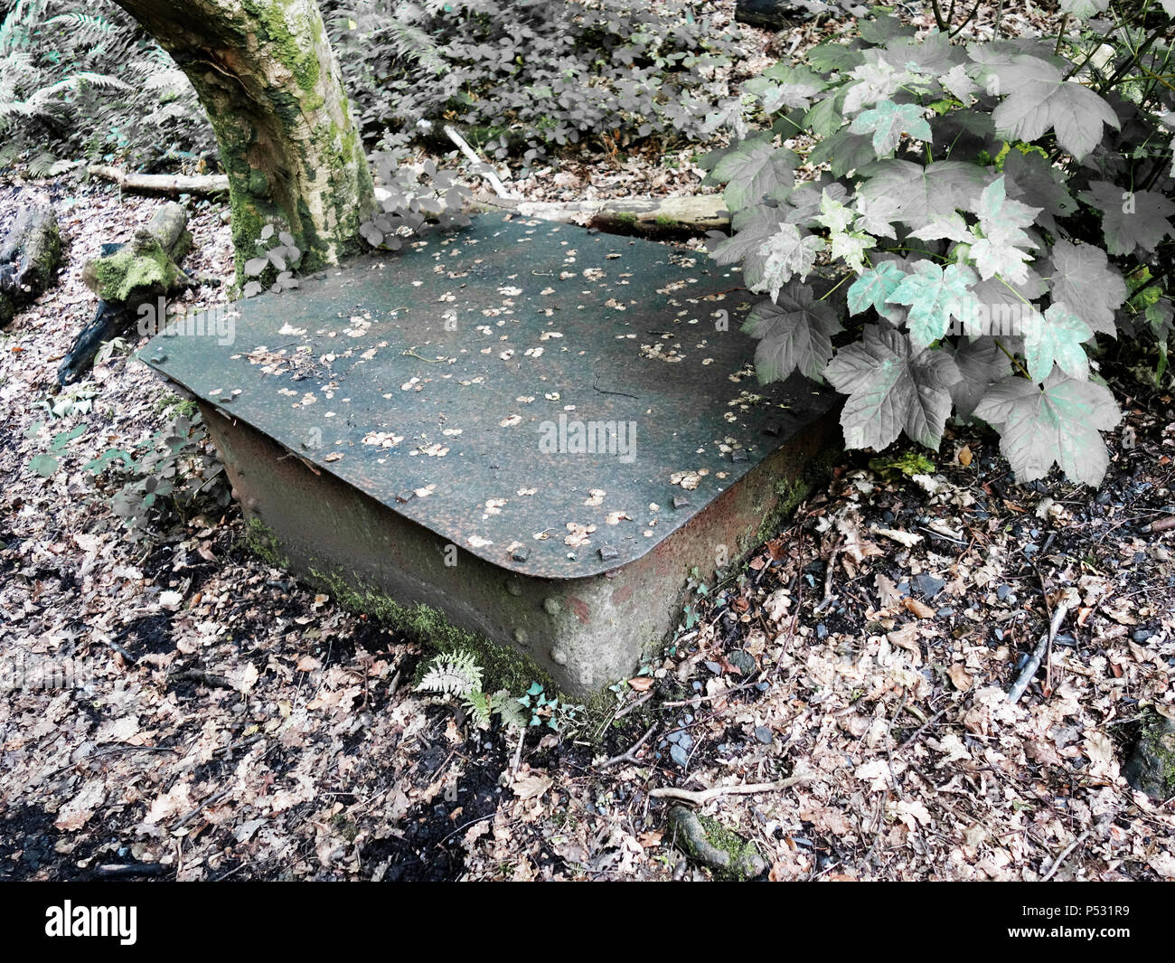 old derelict building Stock Photo - Alamy