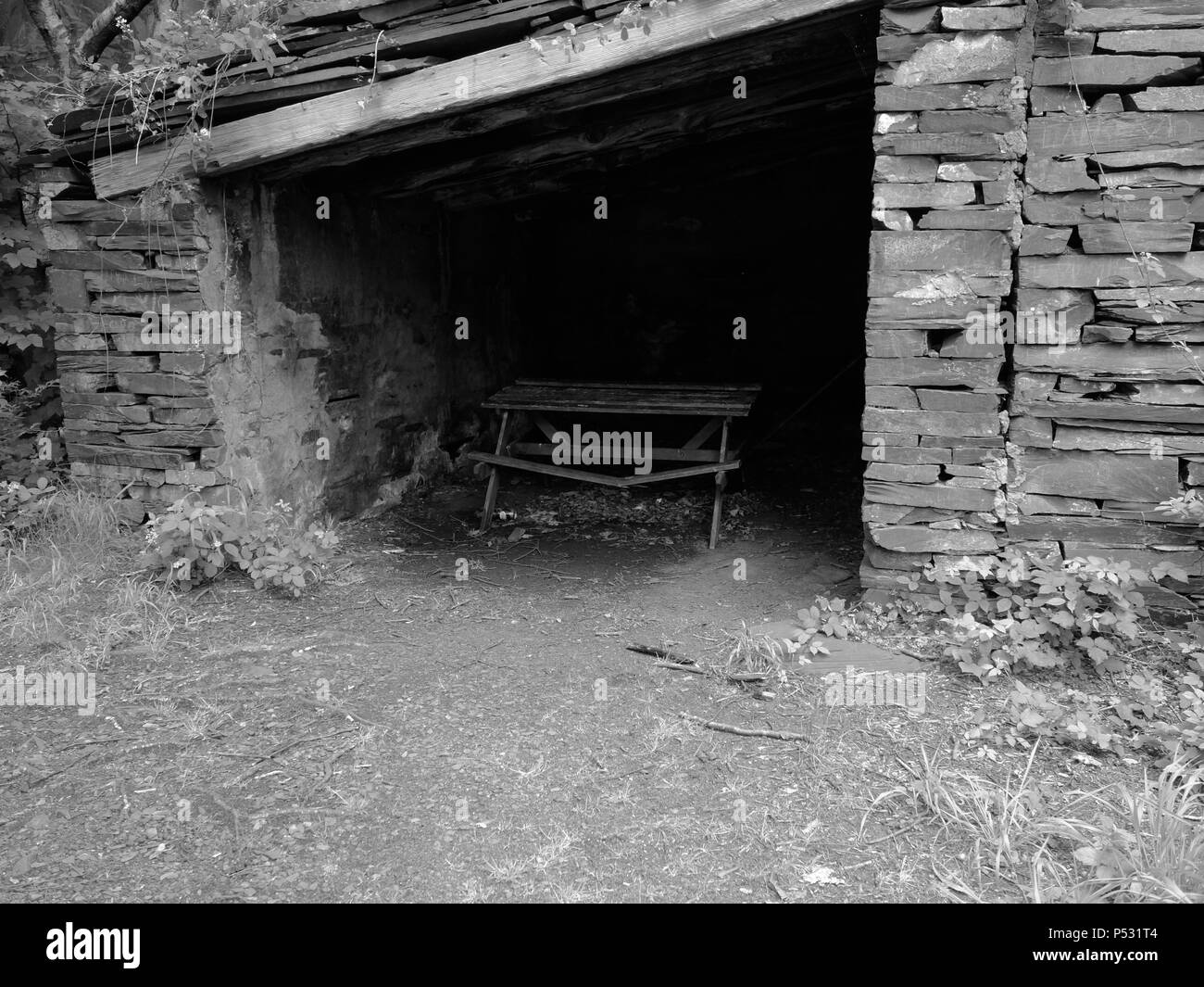 Inside old derelict warehouse hi-res stock photography and images - Alamy