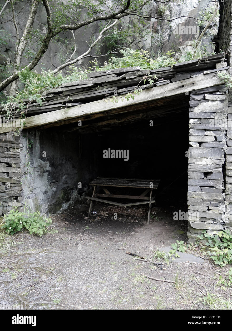 old derelict building Stock Photo - Alamy