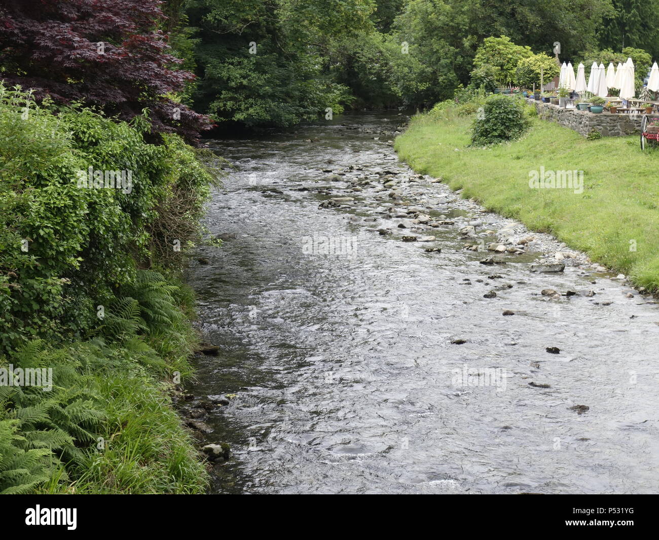 natural landscape and trees Stock Photo - Alamy