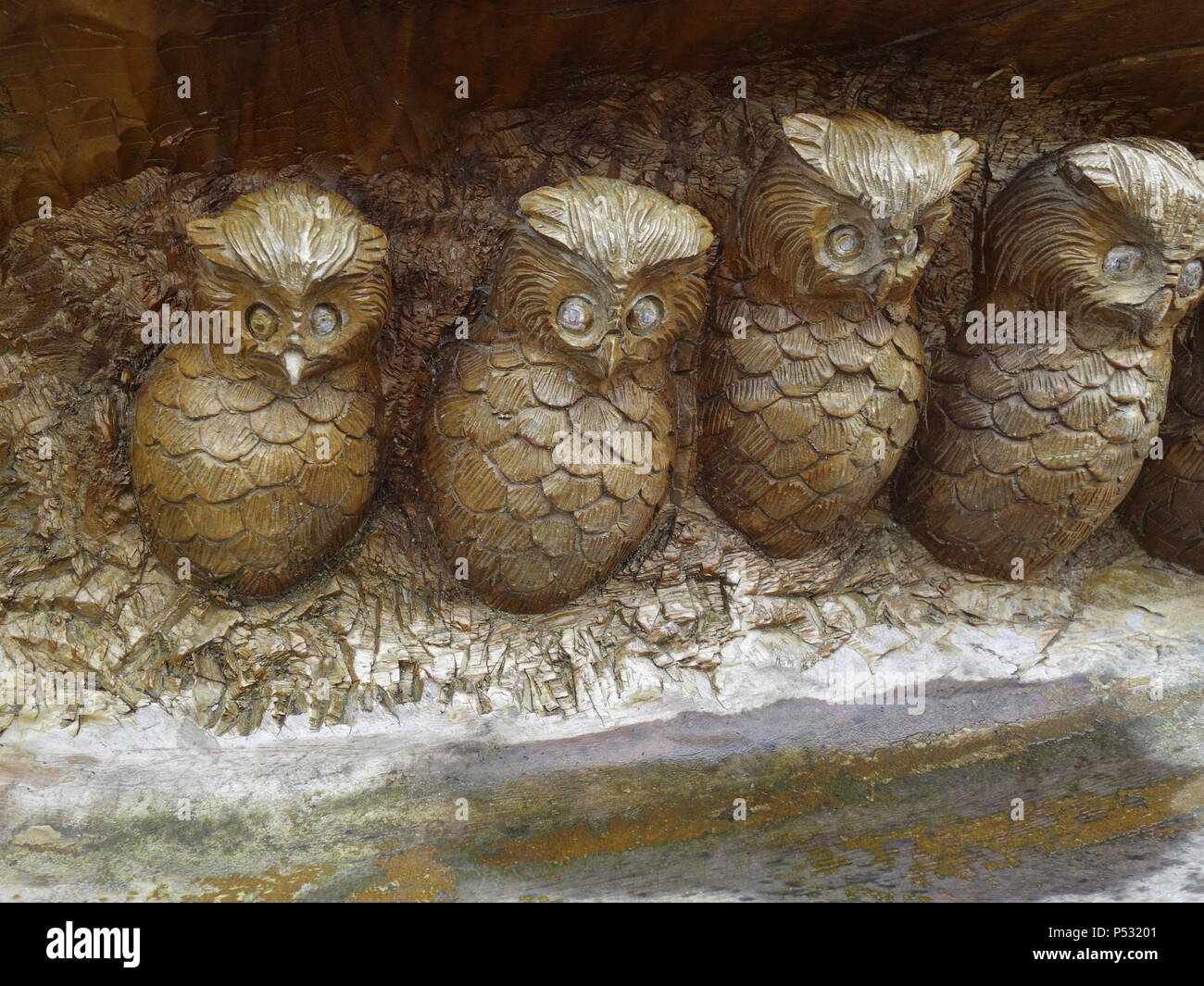 Toronto eaton centre birds hi-res stock photography and images - Alamy