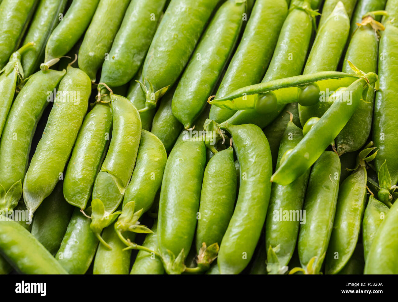 food background of a texture of green peas pods Stock Photo - Alamy
