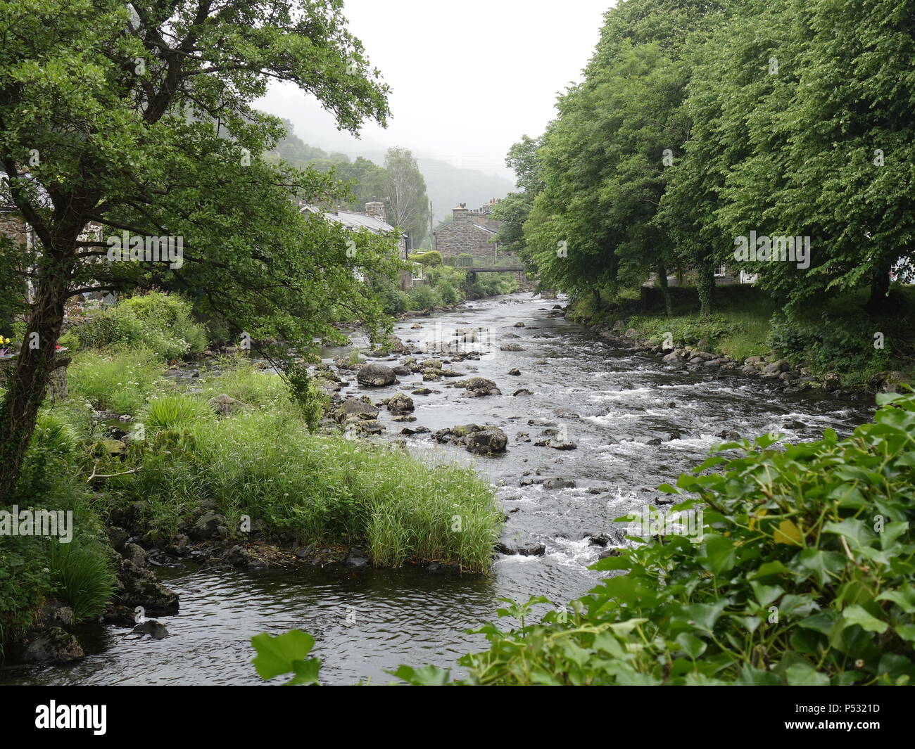 natural landscape and trees Stock Photo - Alamy