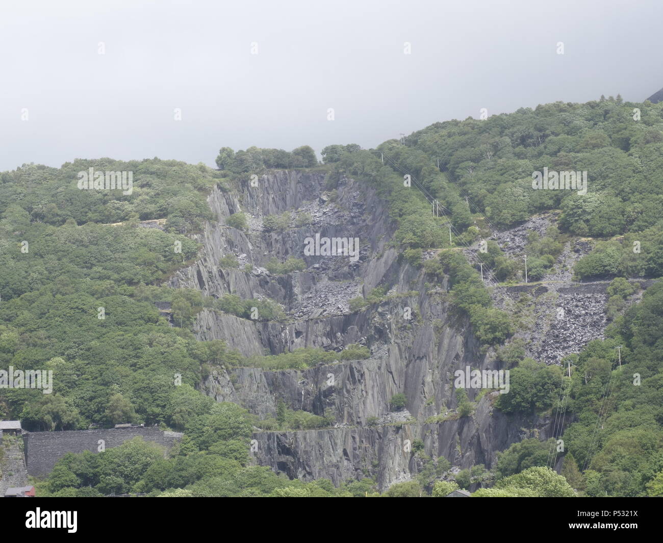natural landscape and trees Stock Photo - Alamy