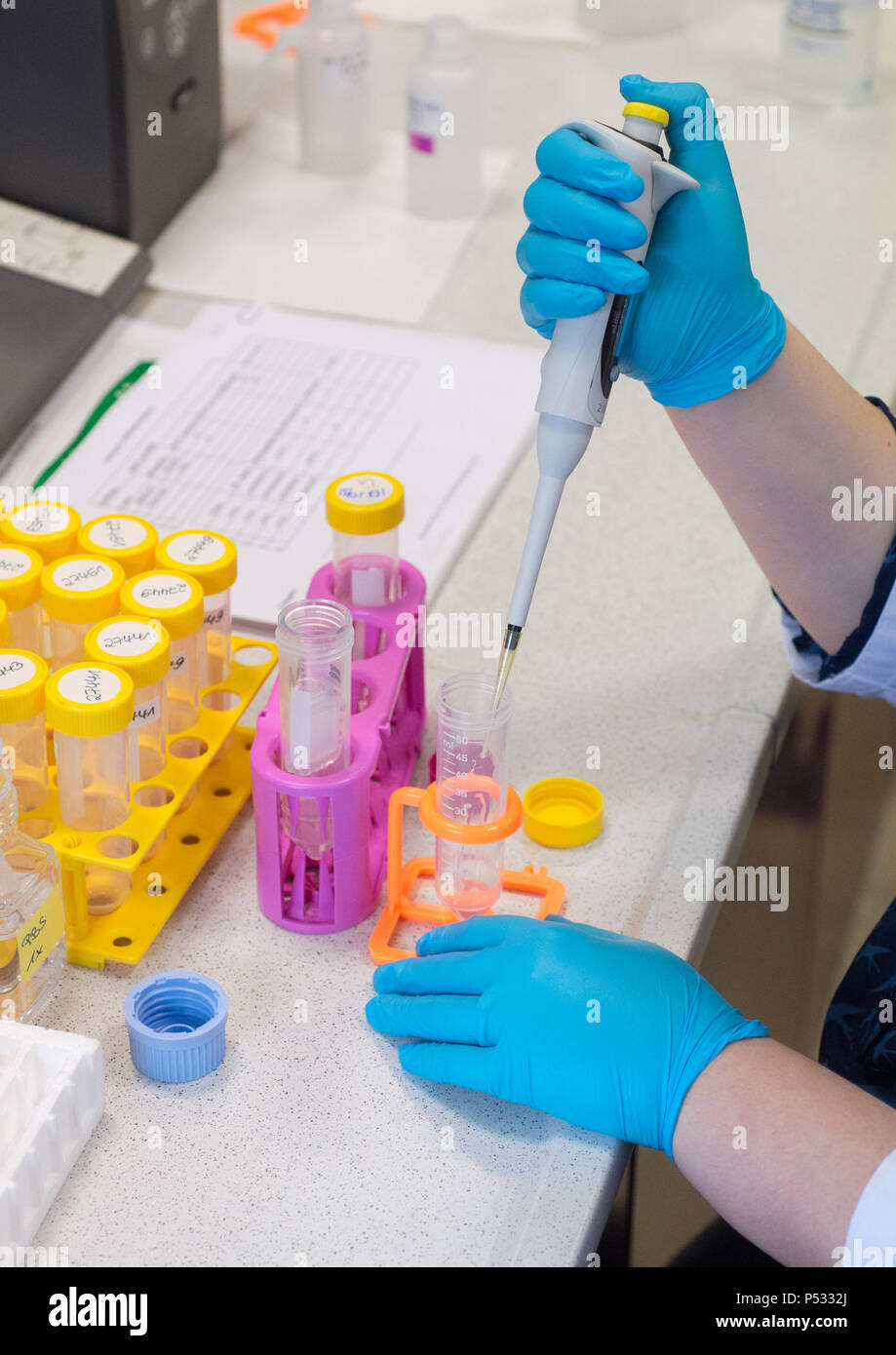 Pipette a sample into a laboratory vessel Stock Photo - Alamy