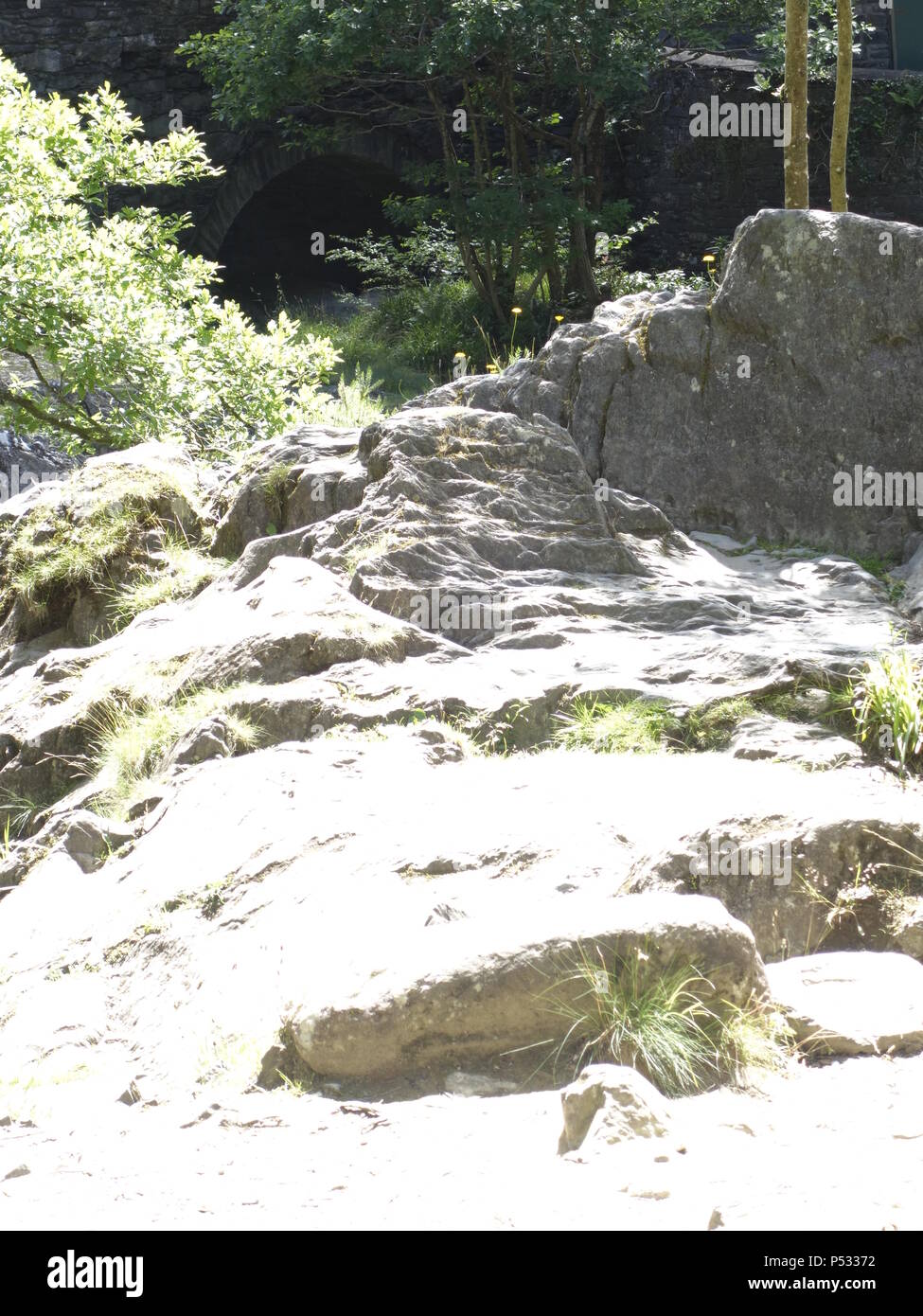 natural landscape and trees Stock Photo - Alamy