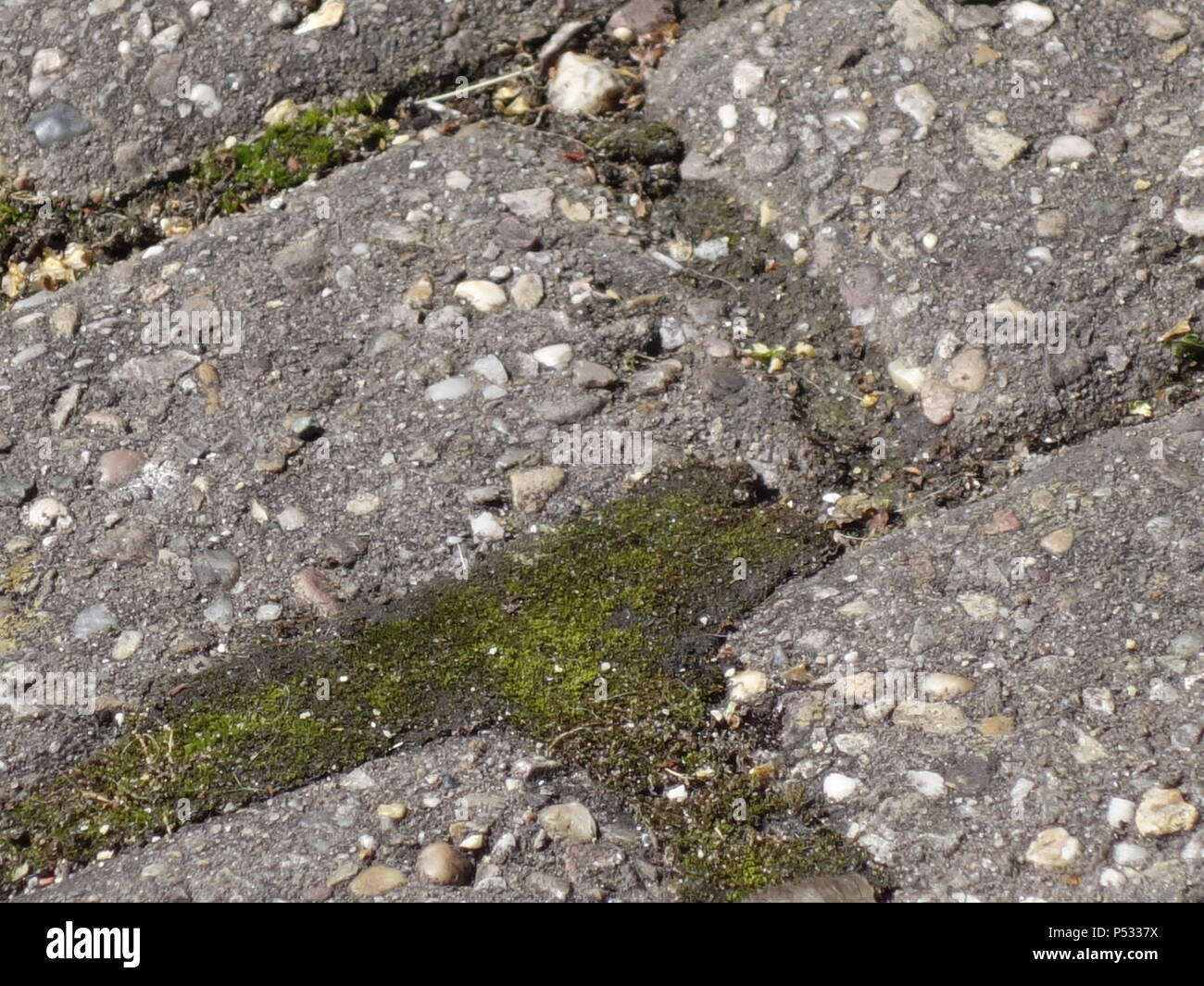 Stone flags hi-res stock photography and images - Alamy