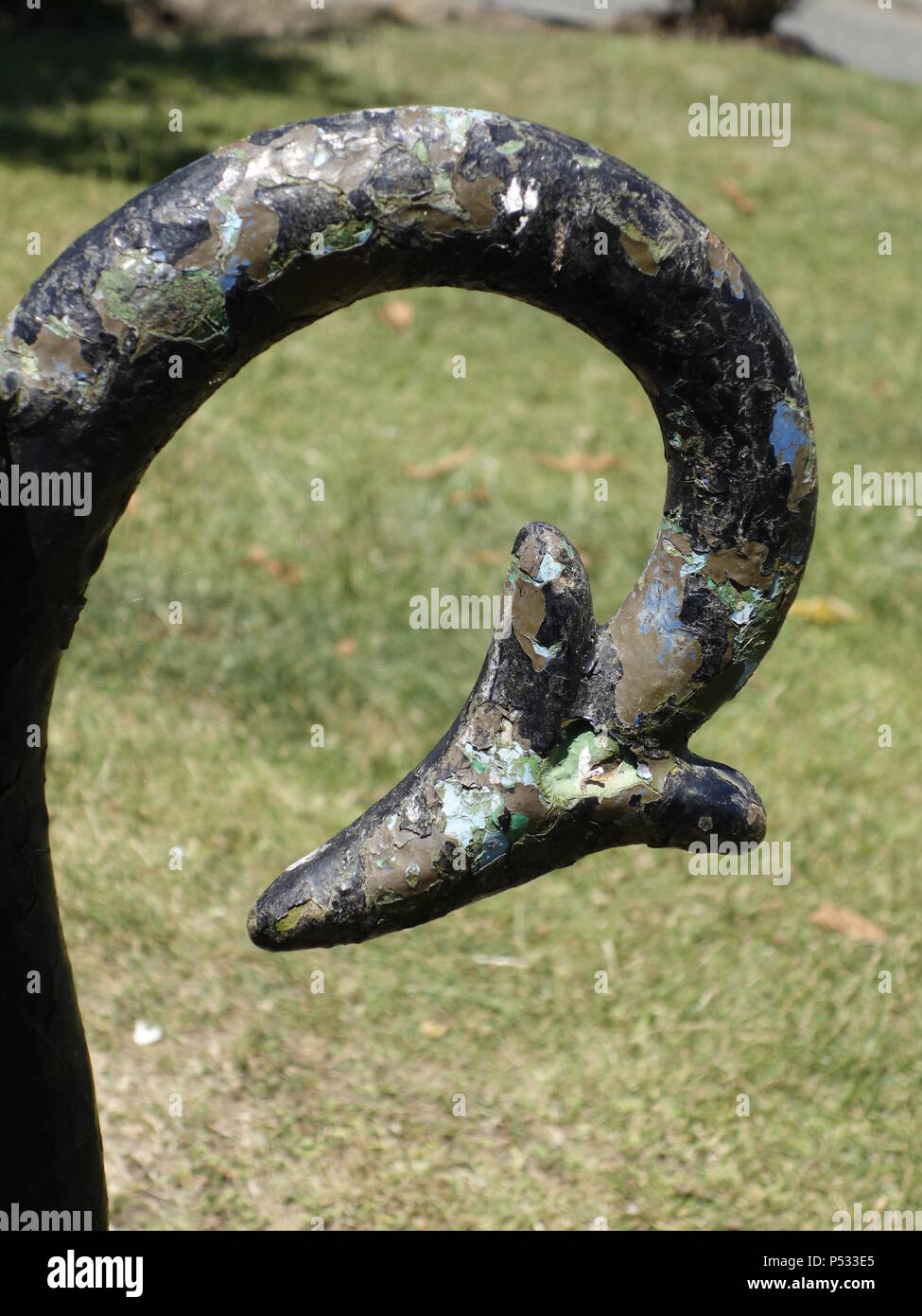 Black tail curl hi-res stock photography and images - Alamy