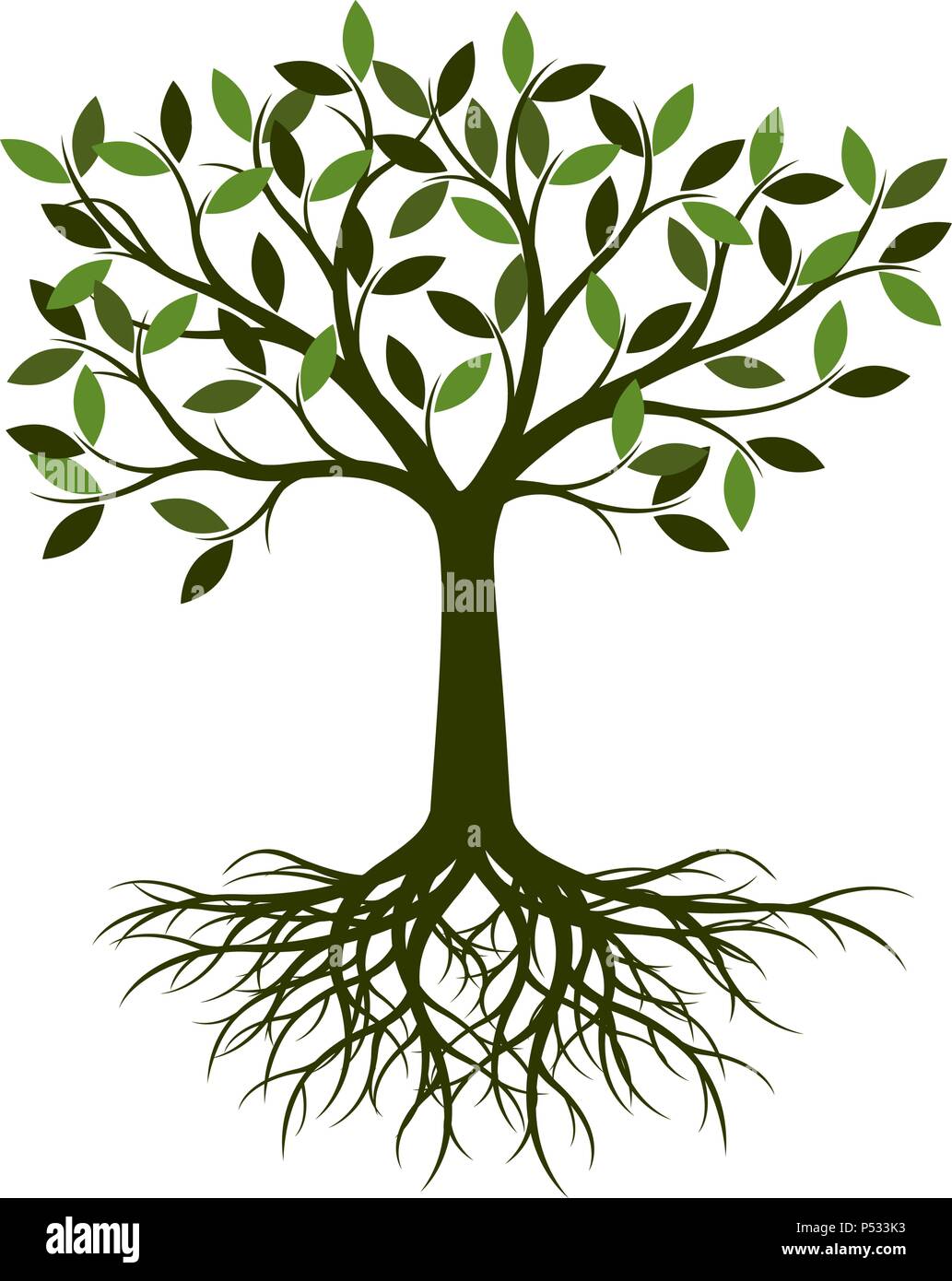 Tree root and branches Stock Vector Images - Alamy