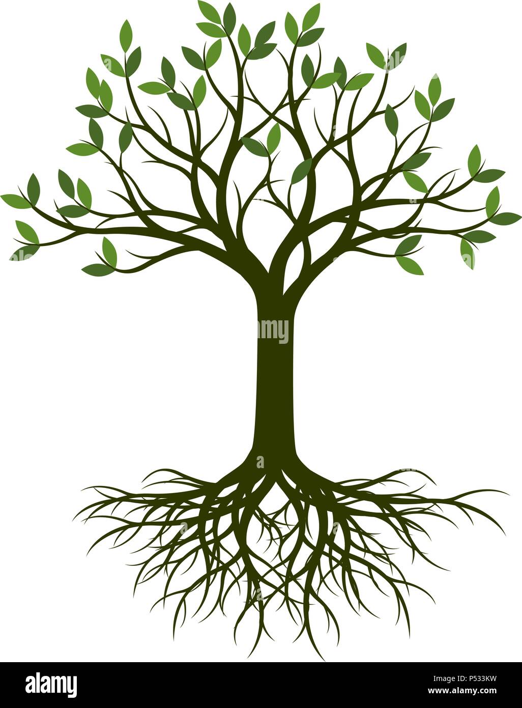 Green Tree with Root. Vector Illustration Stock Vector Image &amp; Art - Alamy