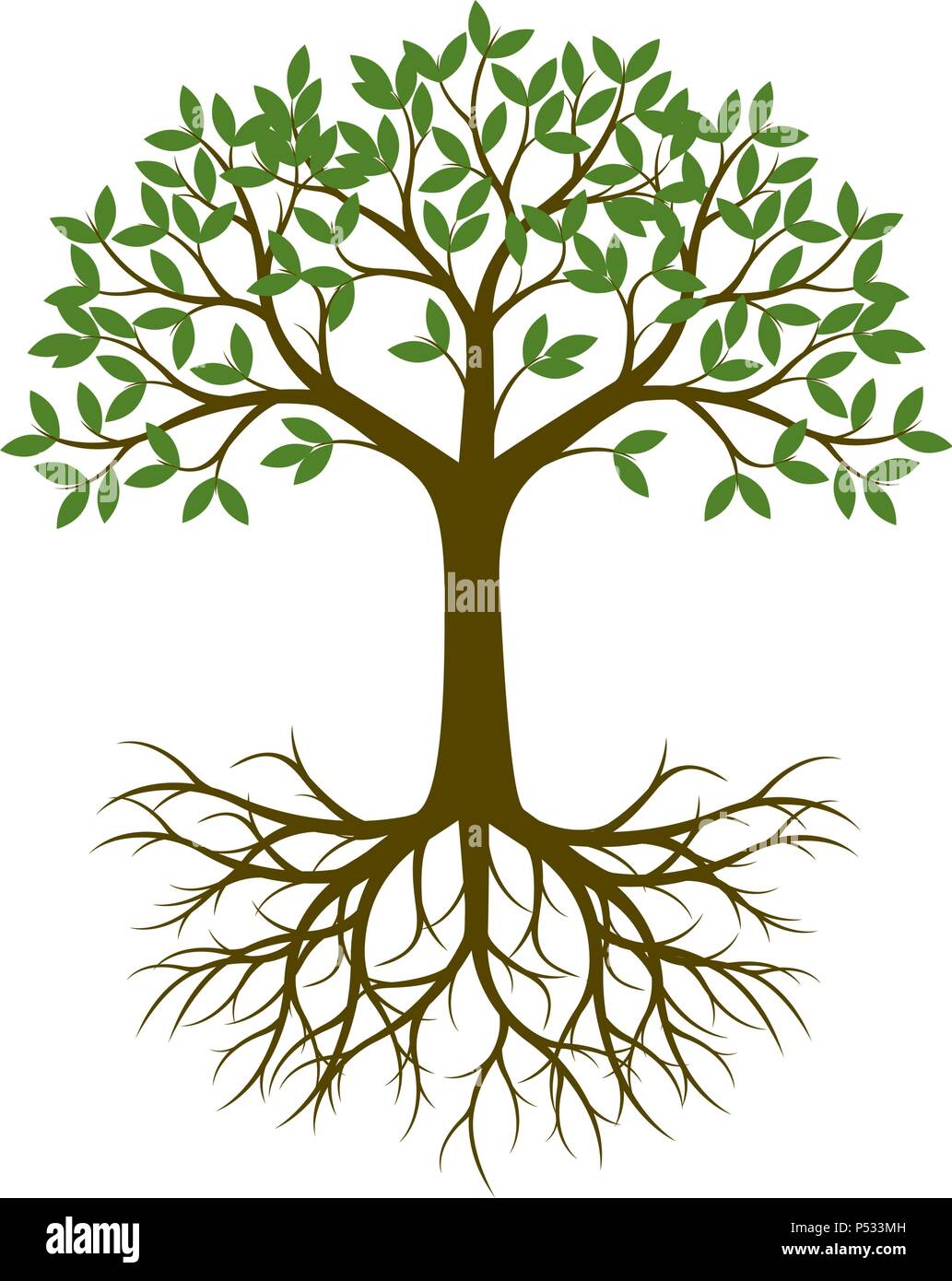Green Tree with Root. Vector Illustration Stock Vector Image &amp; Art - Alamy