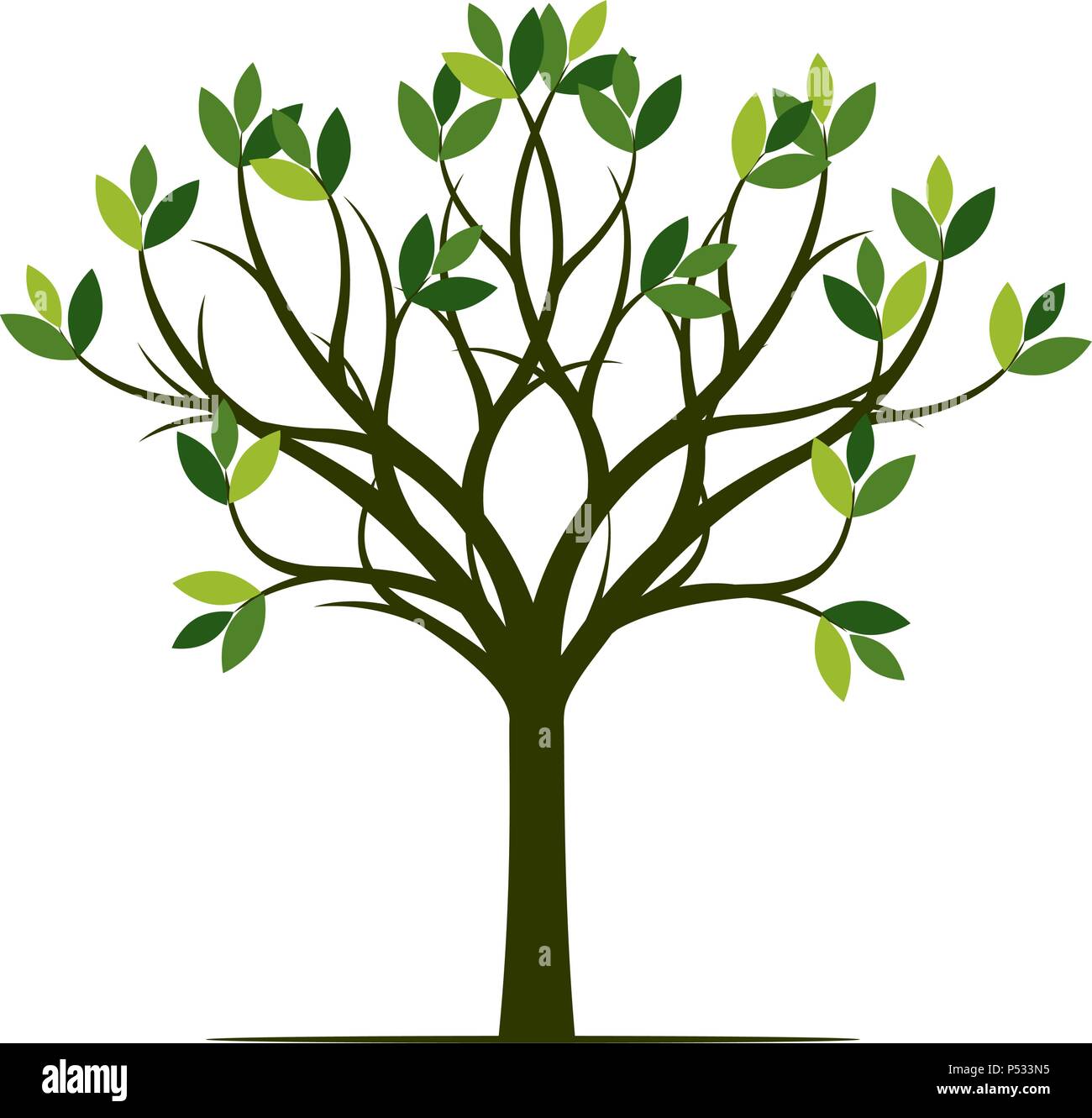 Summer tree vector hi-res stock photography and images - Alamy