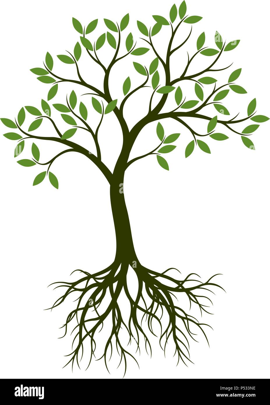 Tree With Roots Clip Art