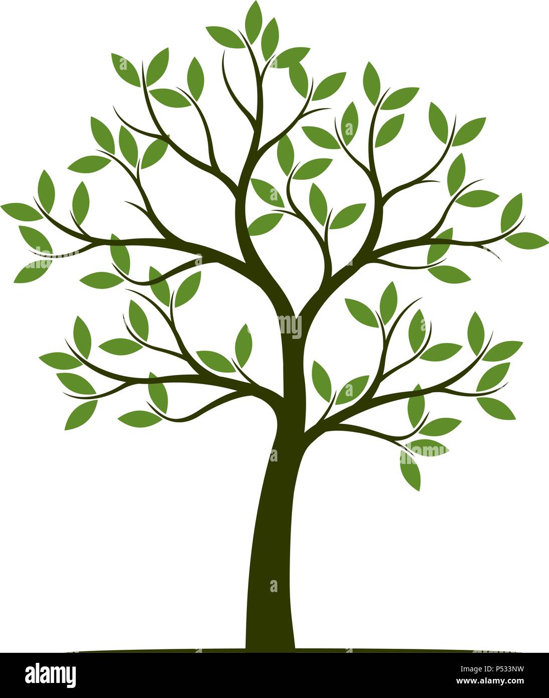 Green summer Tree with leaves. Vector Illustration Stock Vector Image ...