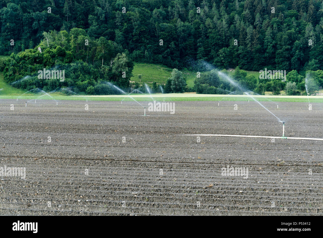 Spinkler system hi-res stock photography and images - Alamy