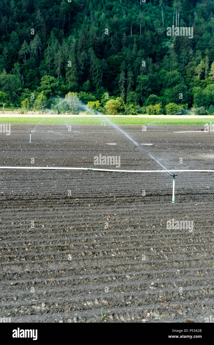 Spinkler system hi-res stock photography and images - Alamy