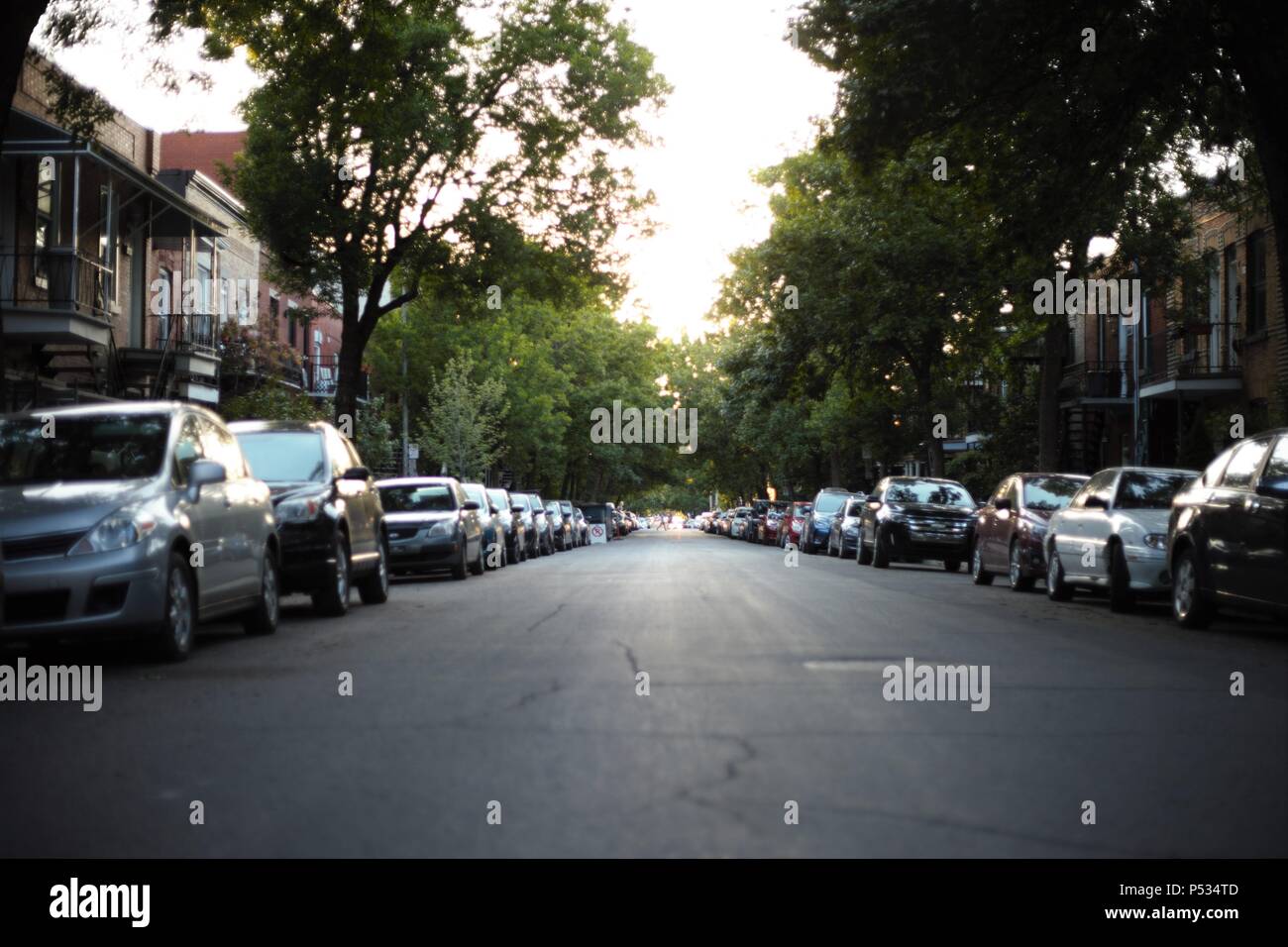 lines of cars in the street Stock Photo - Alamy