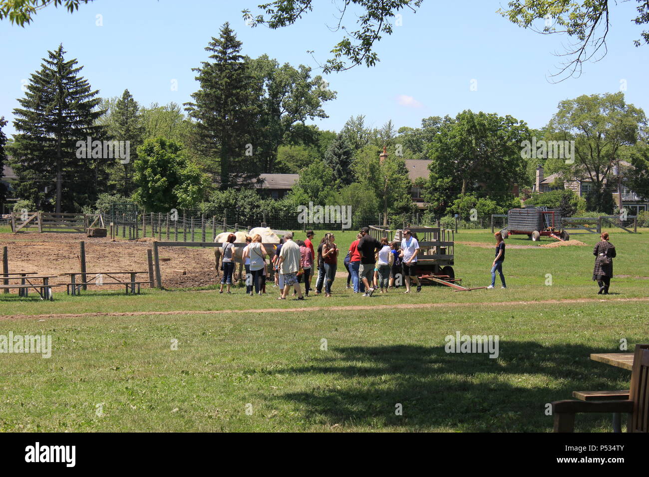 Summer fun at the historic Wagner Farm in suburban Glenview, Illinois ...