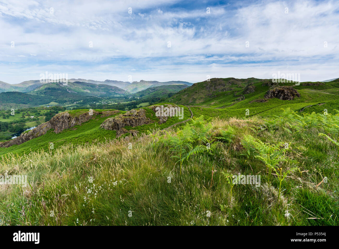 Undulating terrain on Loughrigg Fell, Ambleside, Lake District, Cumbria ...