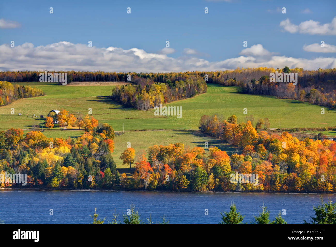 Fall Leaves and Green Fields on the St. John River in New Brunswick ...
