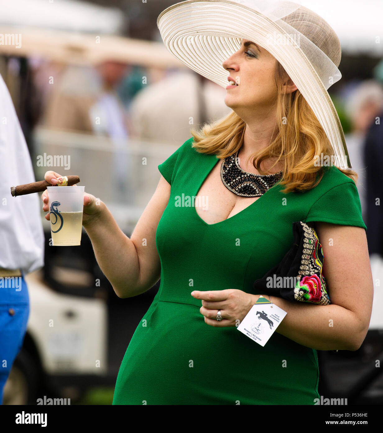 Cigar race horse hi-res stock photography and images - Alamy