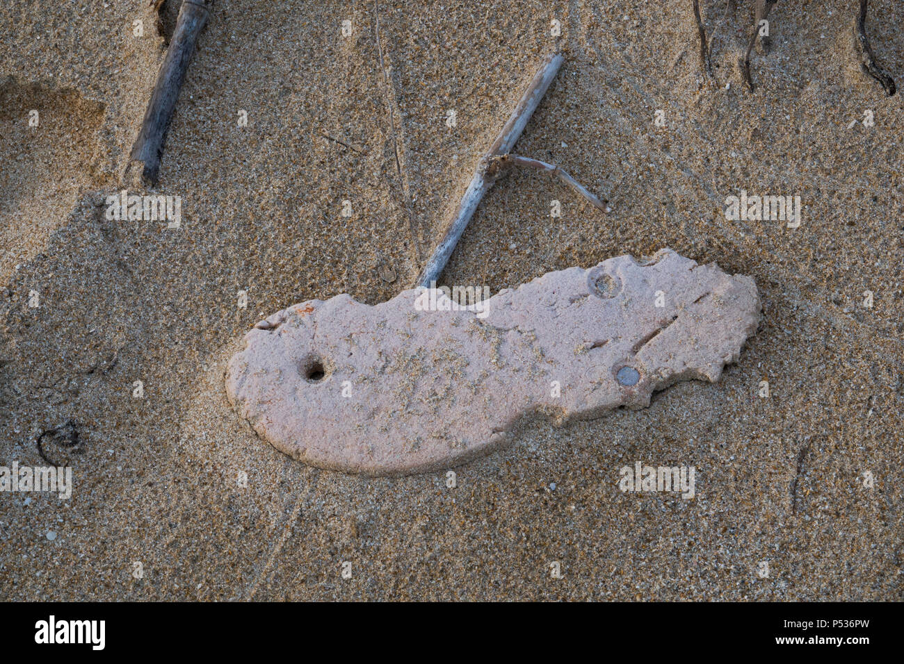 Discarded rubber thong decomposing on sandy beach Stock Photo - Alamy