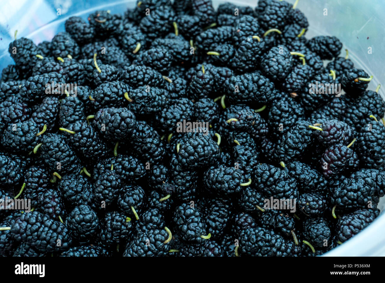 Stack of black Mulberry berry Stock Photo - Alamy