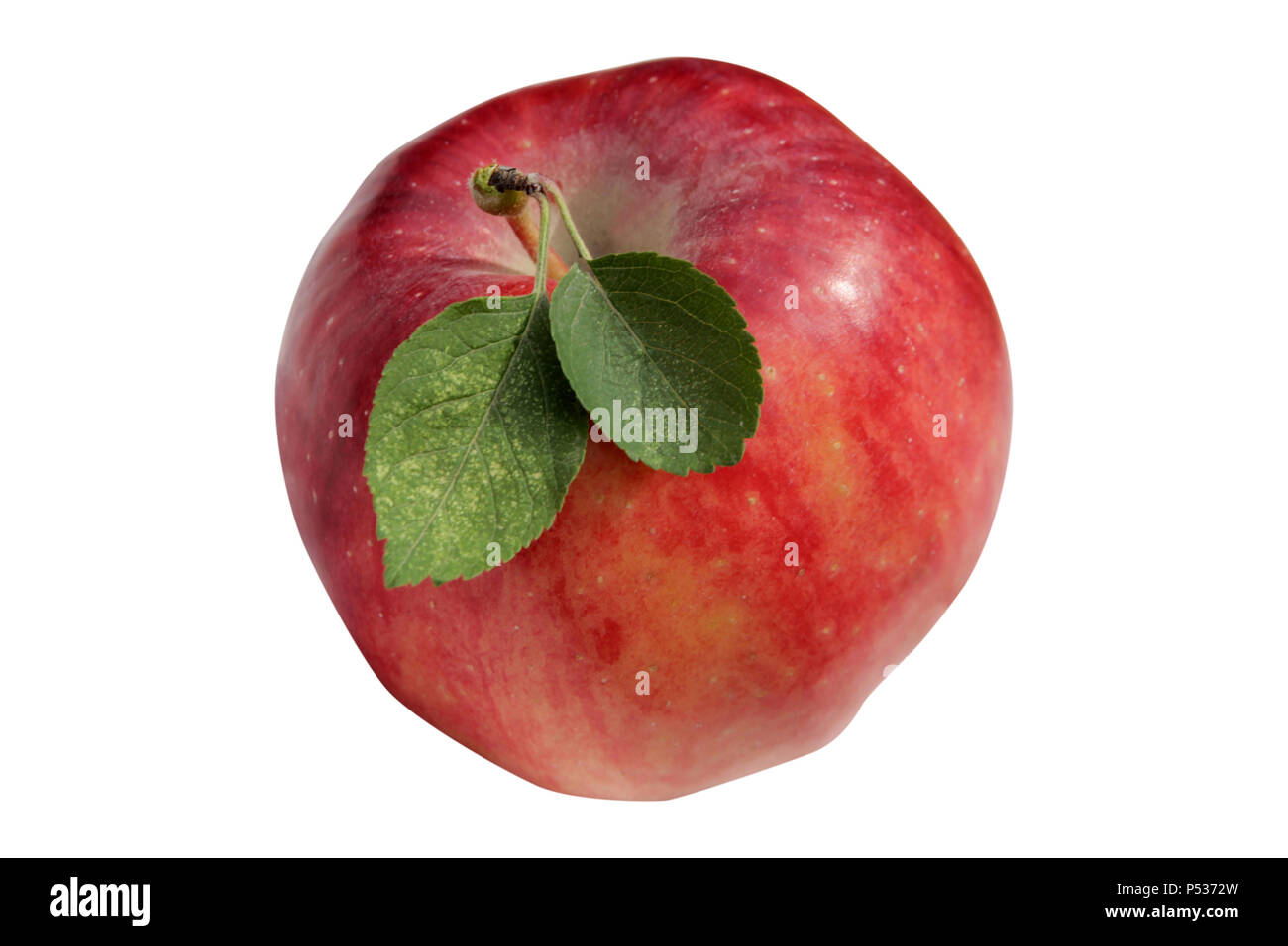 Red apple with leaf Stock Photo - Alamy