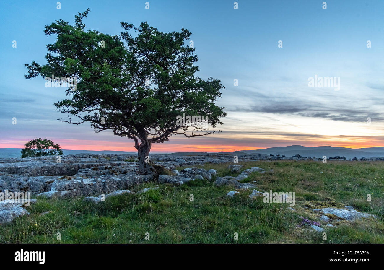 Yorkshire dales national park and stars hi-res stock photography and ...