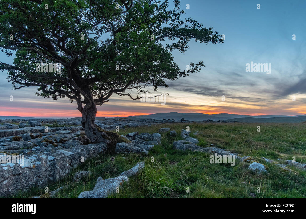 Winskill hi-res stock photography and images - Alamy