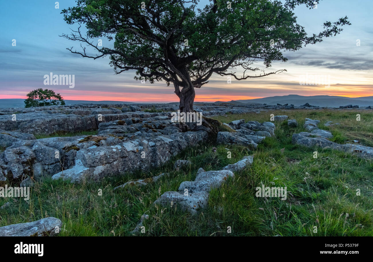 Yorkshire dales national park and stars hi-res stock photography and ...