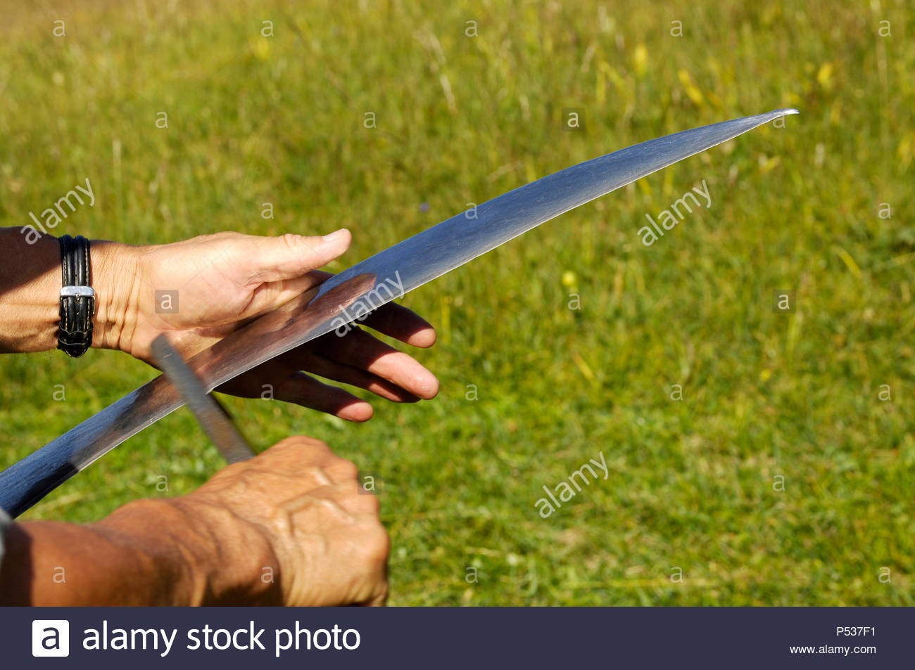 Sickle Harvesting High Resolution Stock Photography and Images - Alamy