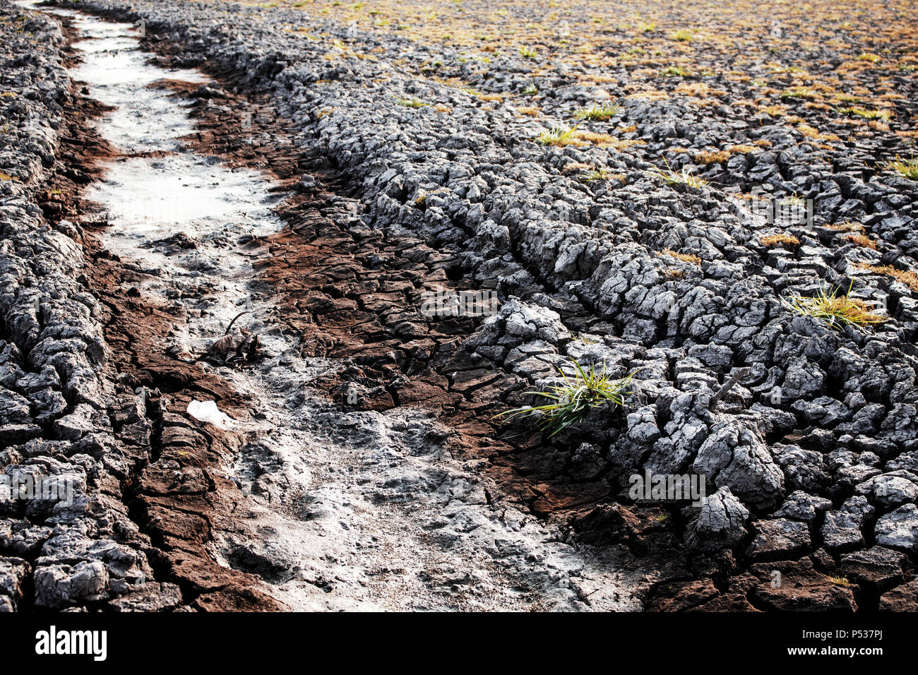Dry ground of pond with texture background Stock Photo - Alamy