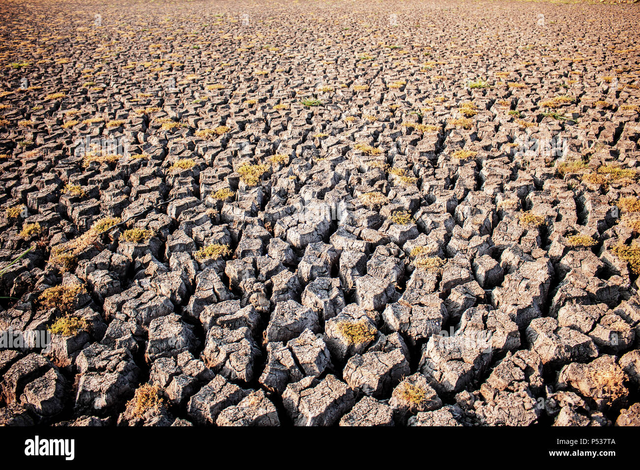 Dry ground on field with texture background Stock Photo - Alamy