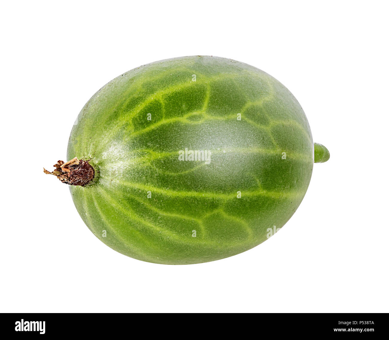 Gooseberry isolated on white background Stock Photo - Alamy