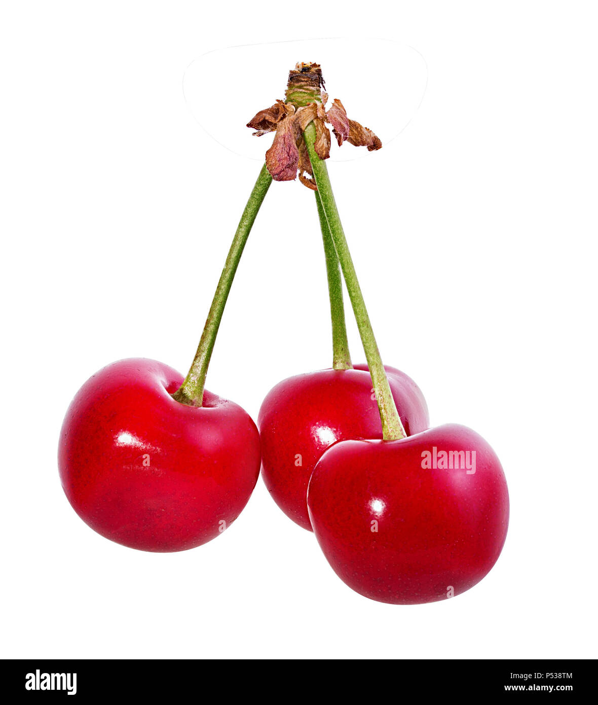 Cherry isolated on white background Stock Photo - Alamy