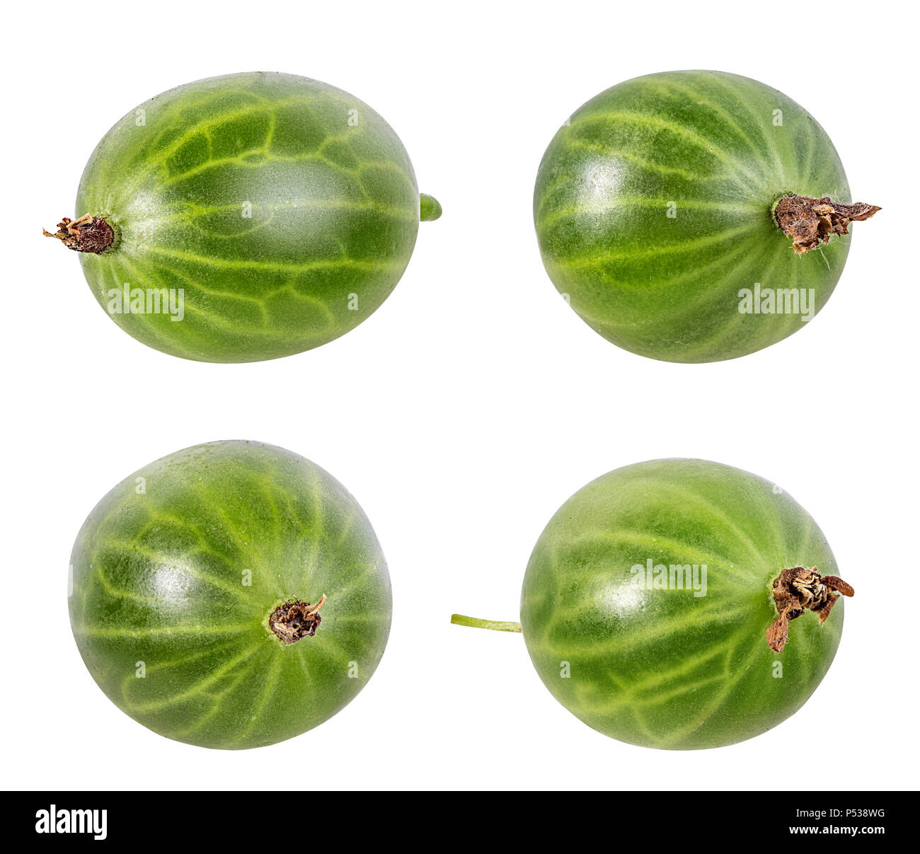 Gooseberry isolated on white background Stock Photo - Alamy