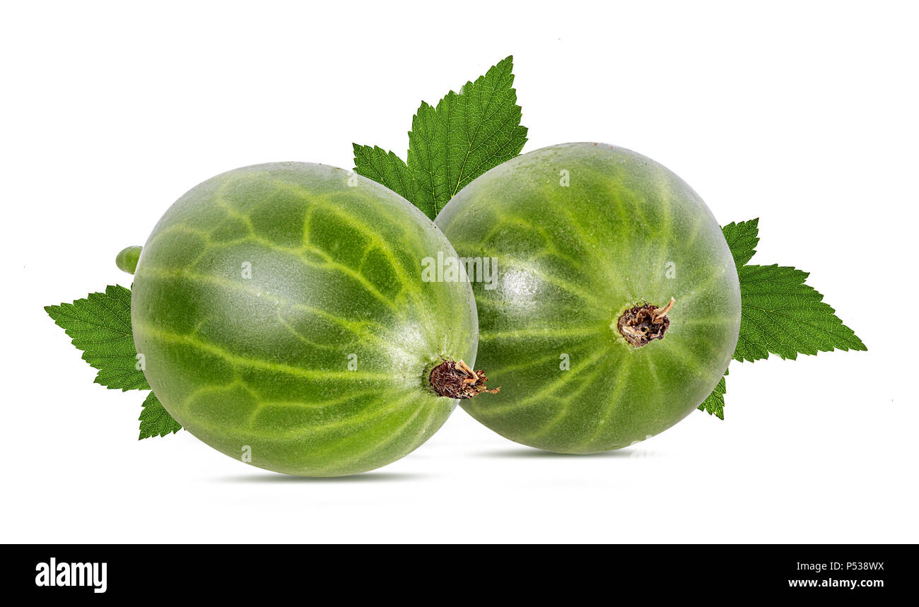 Gooseberry isolated on white background Stock Photo - Alamy